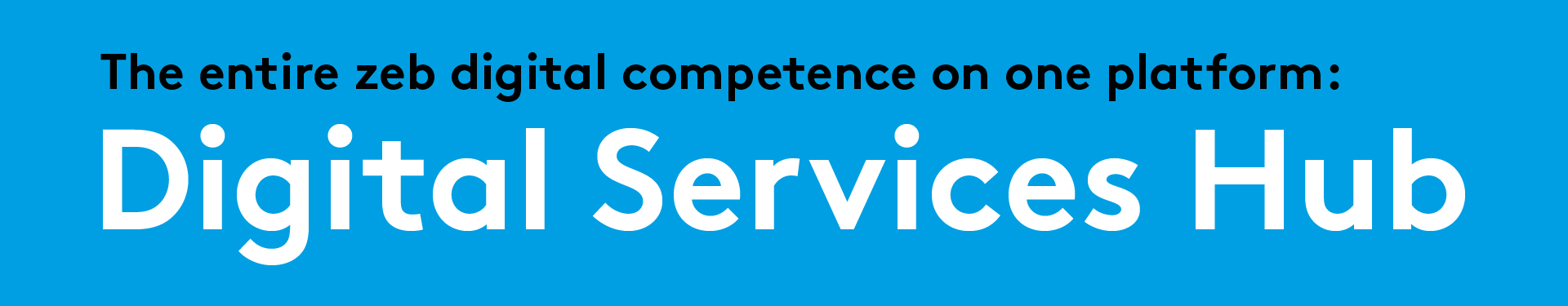 Management for financial services | zeb.control