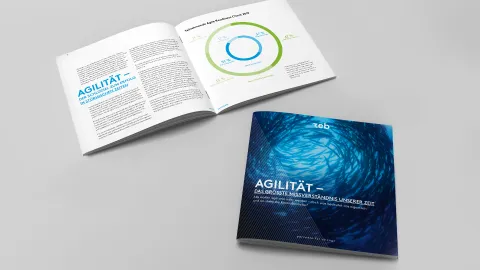 Agile Readiness Study | zeb